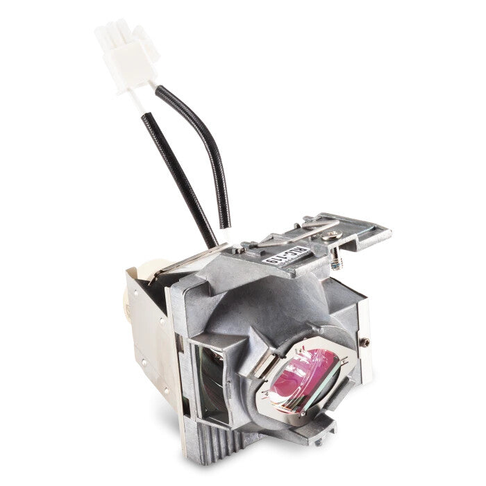 Viewsonic RLC-119 projector lamp – DataVisual Marketing Inc.