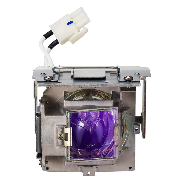 Viewsonic RLC-110 projector lamp – DataVisual Marketing Inc.
