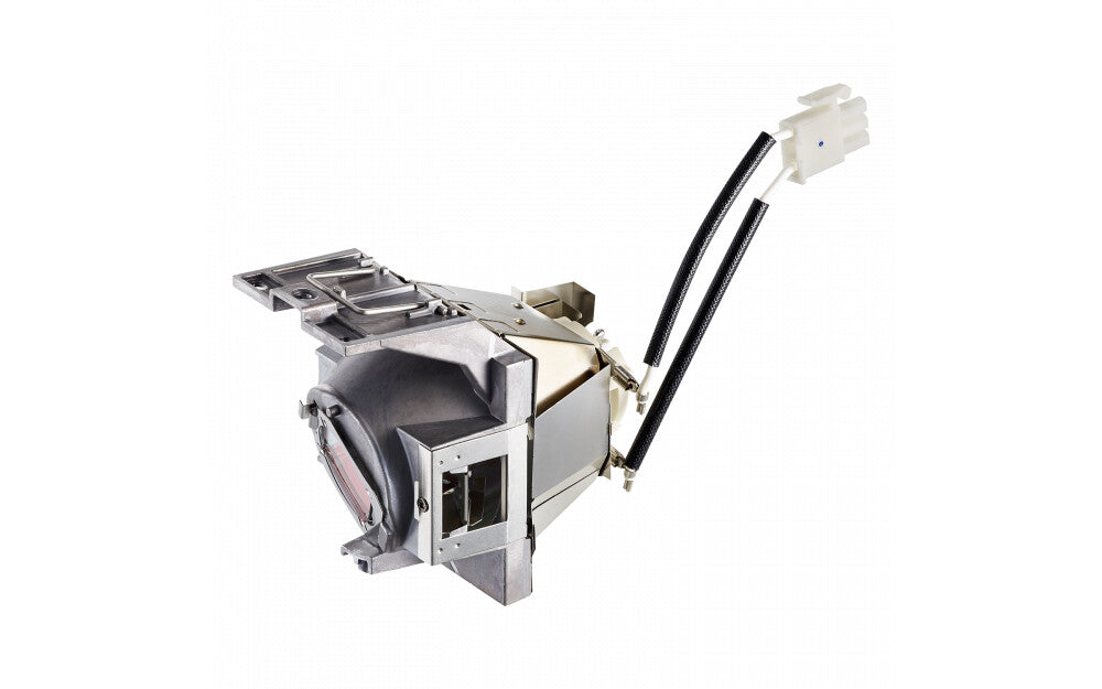Viewsonic RLC-116 projector lamp – DataVisual Marketing Inc.